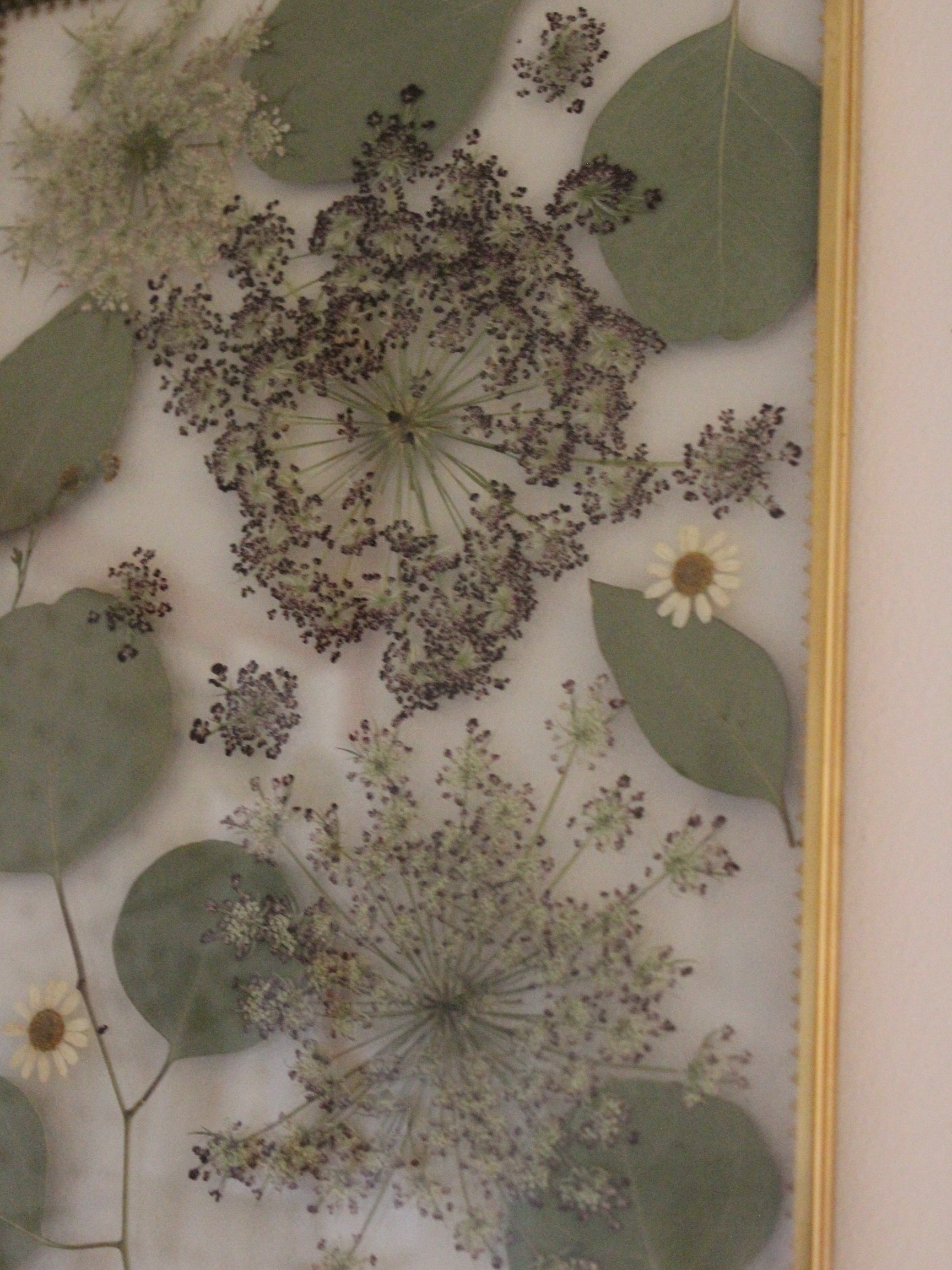 Home | Hints of Nature