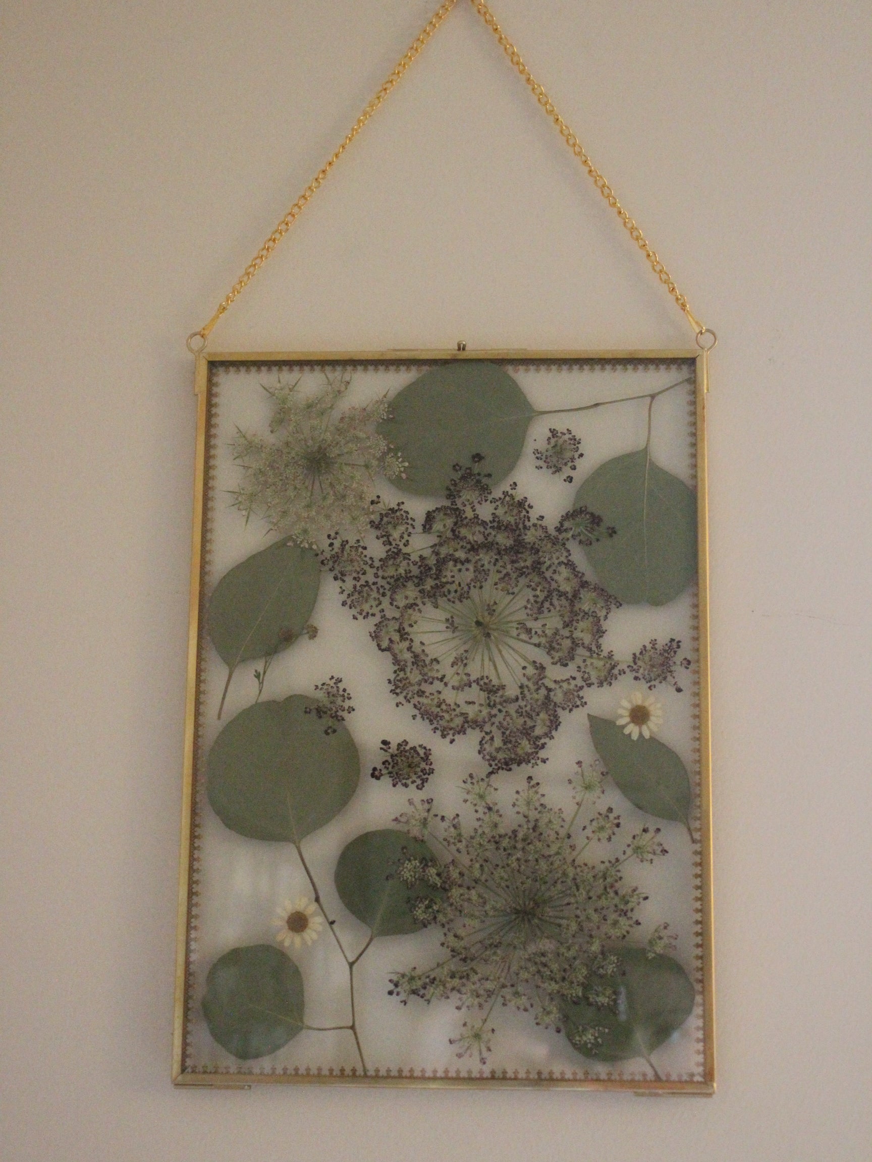 Home | Hints of Nature